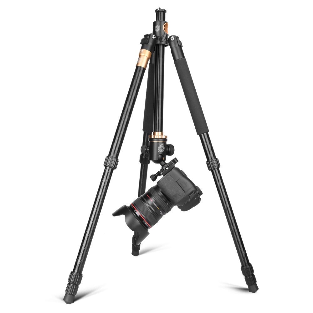 Professional Camera Tripod Monopod with Ball Head, Portable Compact ...